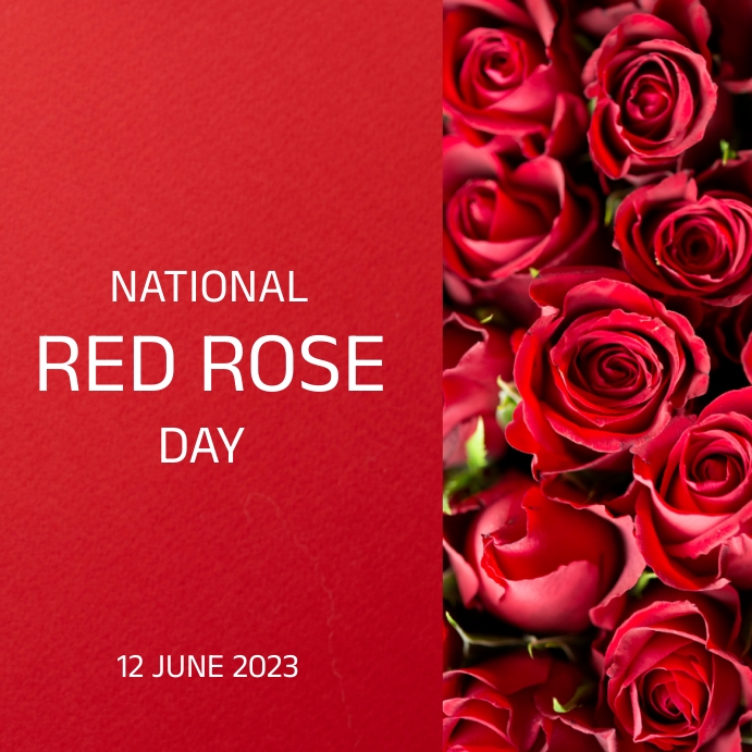 Copy of Red rose day Instagram post. | PosterMyWall