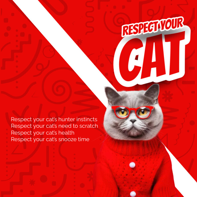 Respect Your Cat Day Instagram post Template | PosterMyWall