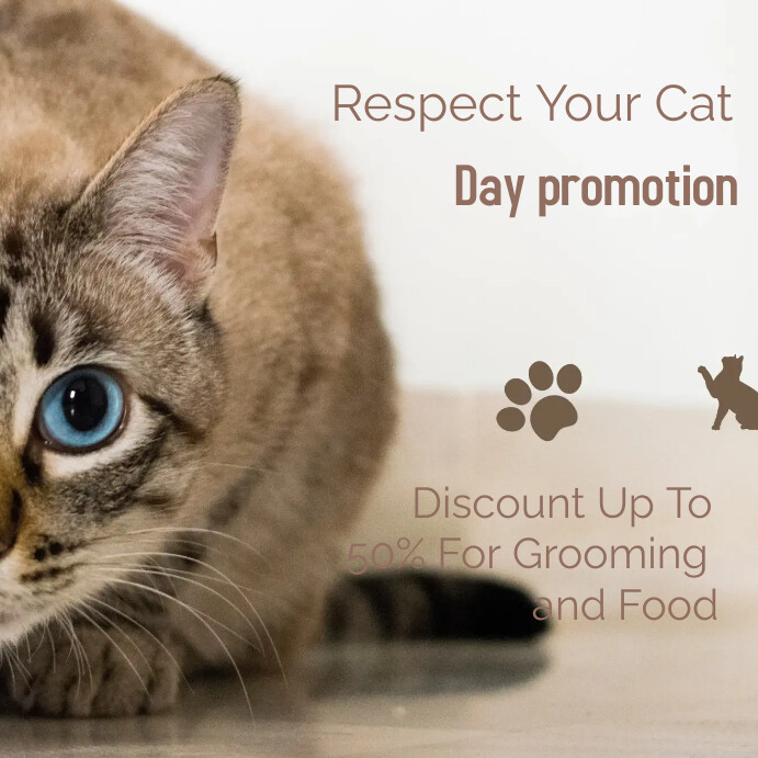 Plantilla de Respect your cat template | PosterMyWall