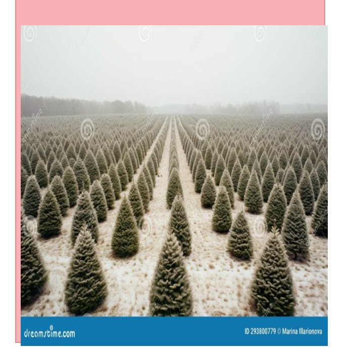 Retail Christmas tree Templat | PosterMyWall