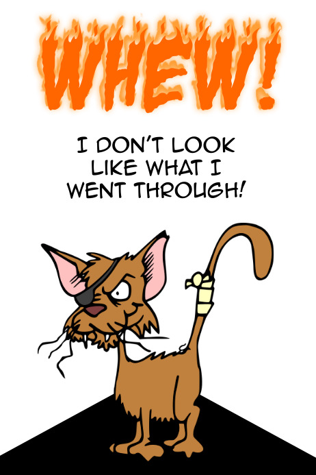 Whew! Template | PosterMyWall