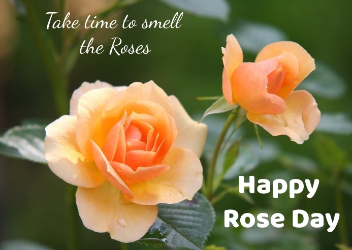 rose day Template | PosterMyWall