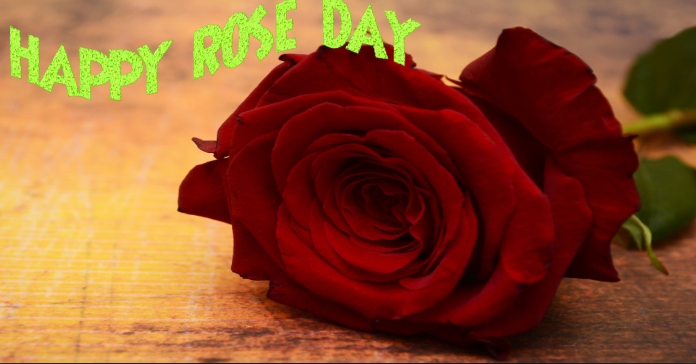 Rose day Template | PosterMyWall