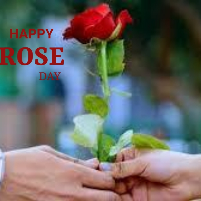 Rose day Instagram post Template | PosterMyWall