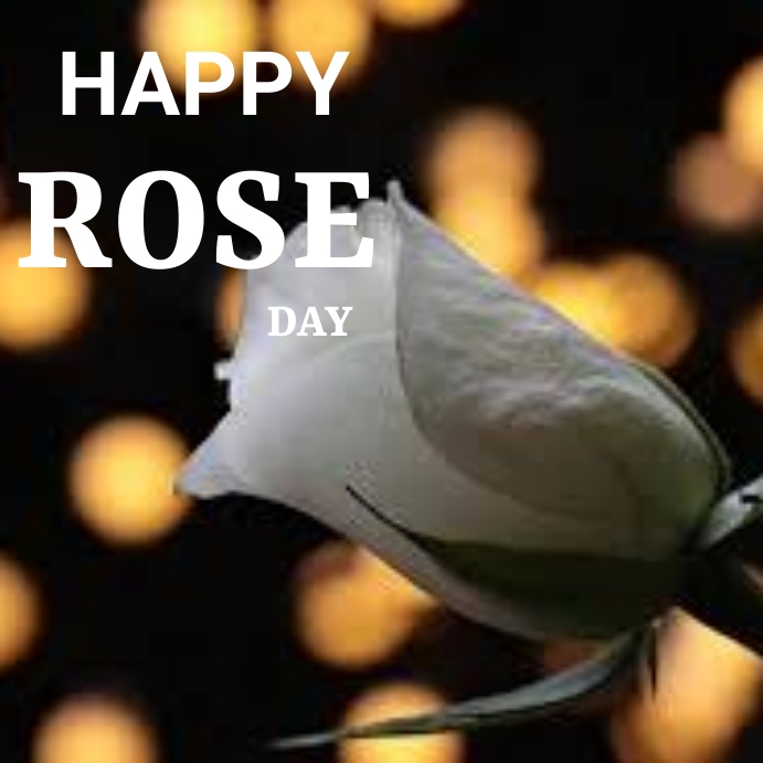 Rose day Instagram post Template | PosterMyWall