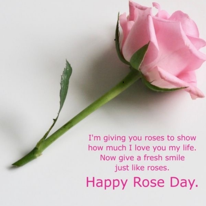 Rose day instagram post Template | PosterMyWall
