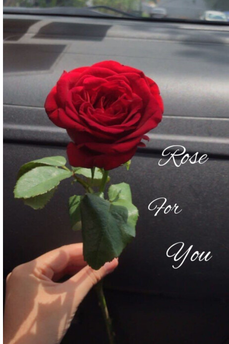 Rose Templat | PosterMyWall