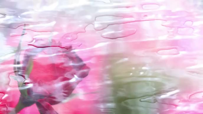 Copy of rose wateer video | PosterMyWall
