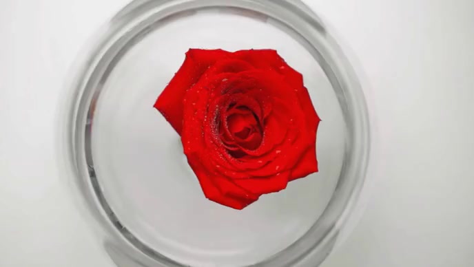 Copy of Rose Water | PosterMyWall