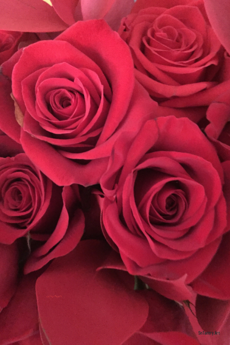 Copy of Roses are Red | PosterMyWall