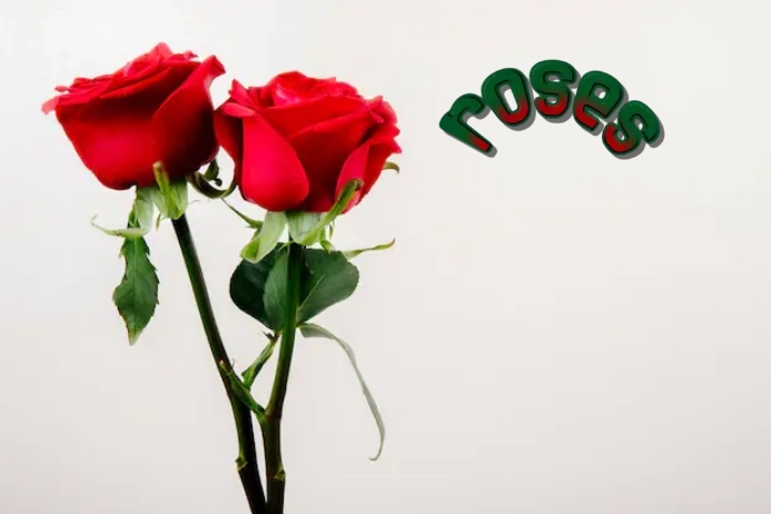 roses Template | PosterMyWall