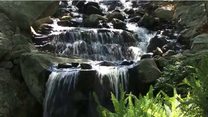 This Design Template is not available | PosterMyWall