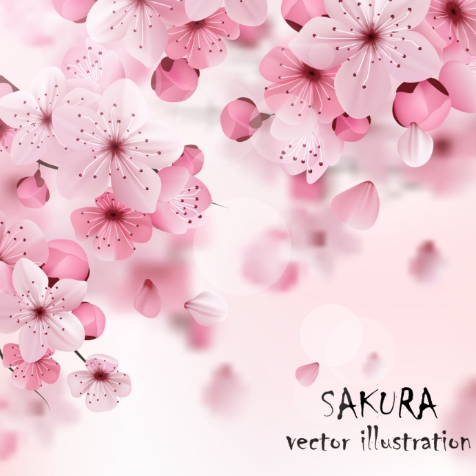 Copy of Sakura vector illustration design poster | PosterMyWall