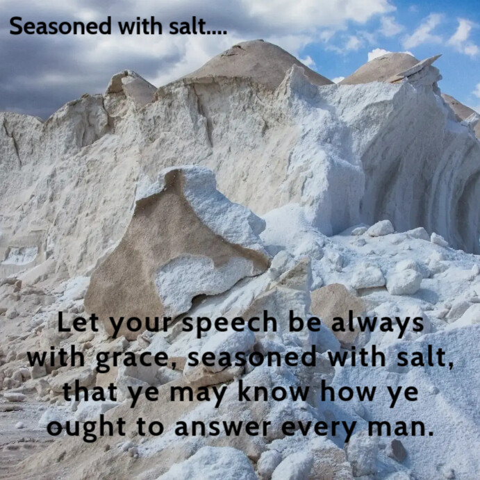 Salt Inspiration Instagram Template | PosterMyWall