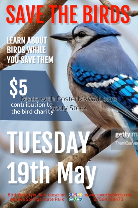 Copy of Save Our Birds | PosterMyWall