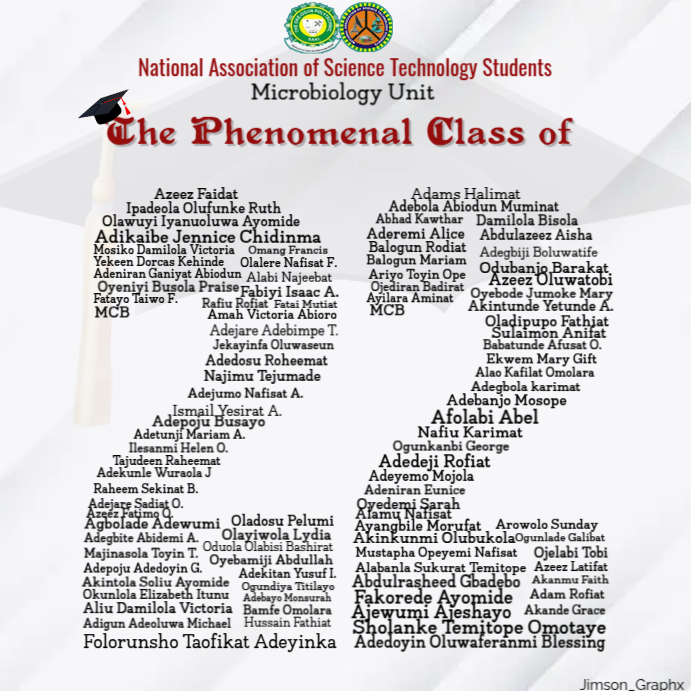 School Graduation Flyer Template | PosterMyWall