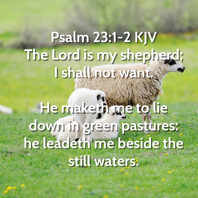 Copy of Scripture Reading Instagram Template | PosterMyWall