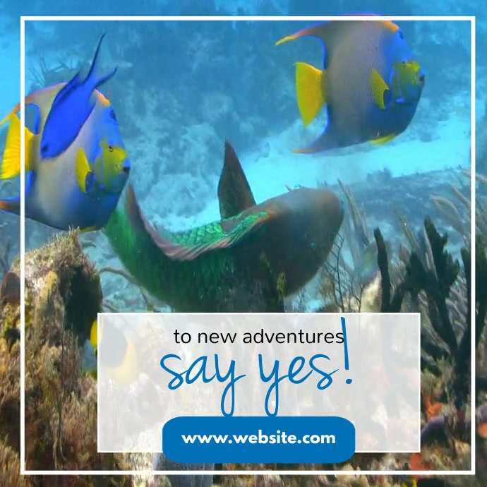 Plantilla de scuba diving minimal generic video ad | PosterMyWall