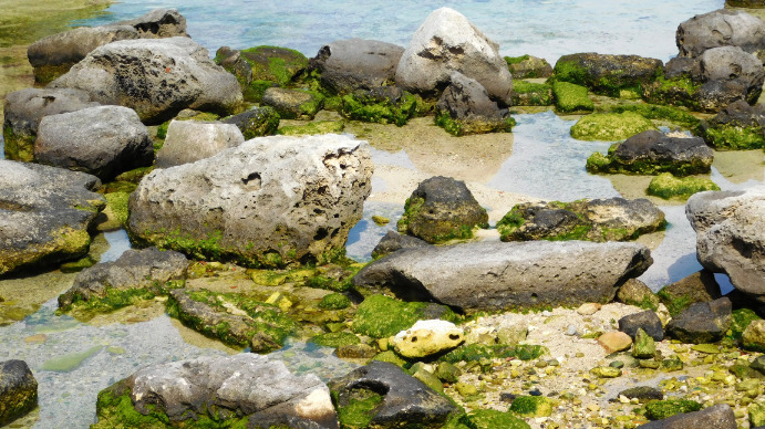 Sea Template | PosterMyWall