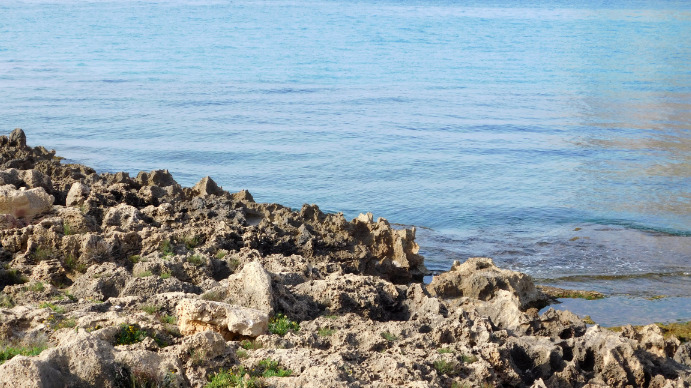 Sea Template | PosterMyWall