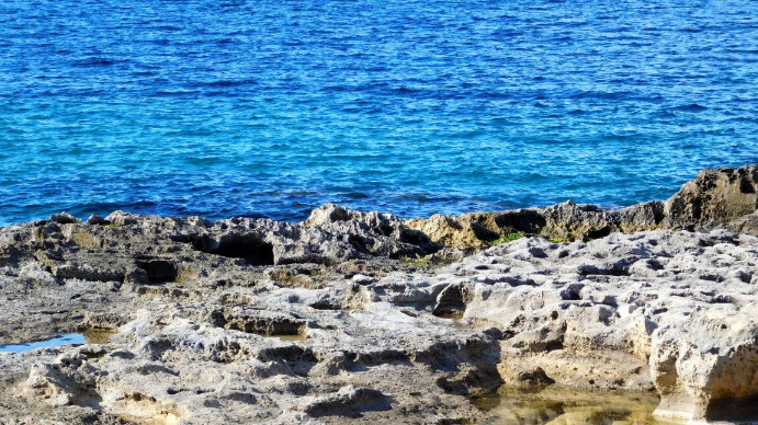 Sea Template | PosterMyWall