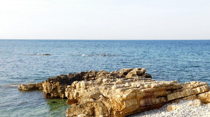 Sea Template | PosterMyWall