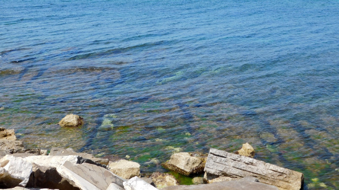 Sea Template | PosterMyWall