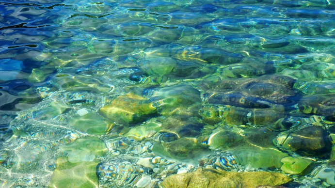 Sea Template | PosterMyWall