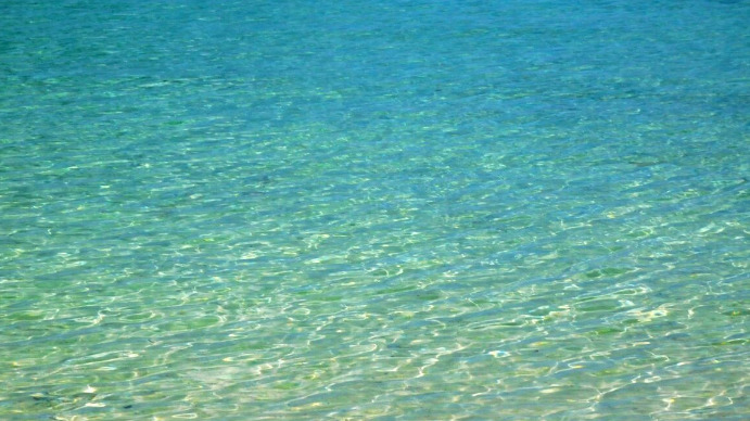 Sea Template | PosterMyWall