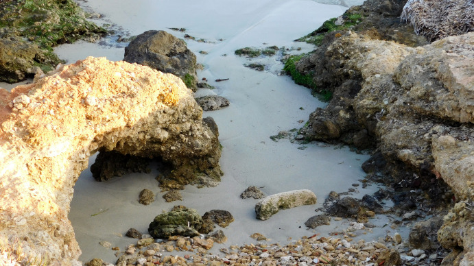 Sea Template | PosterMyWall