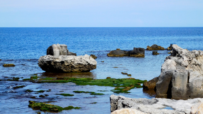 Sea Template | PosterMyWall