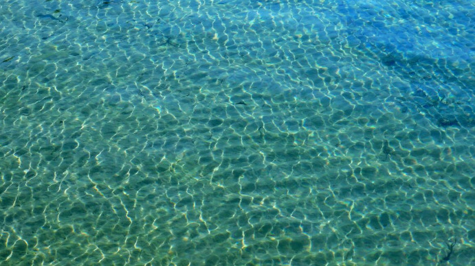 Sea Template | PosterMyWall