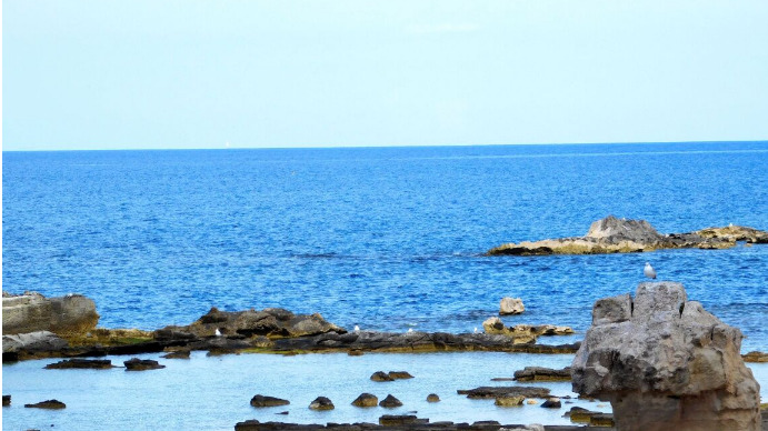 Sea Template | PosterMyWall