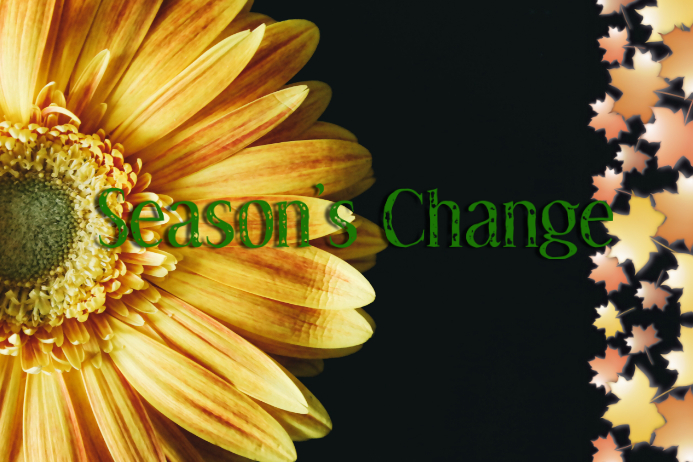Season's Change: Fall Template | PosterMyWall