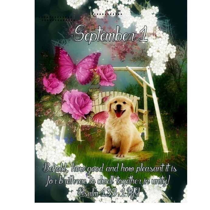 September 1 Template | PosterMyWall