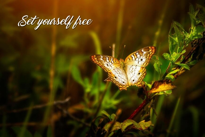 Set yourself free nature quote template | PosterMyWall
