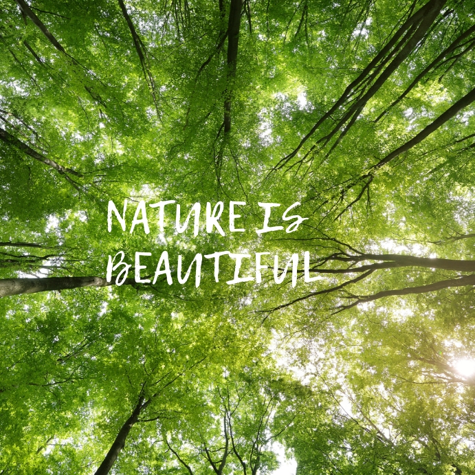 Copy of Shades | PosterMyWall