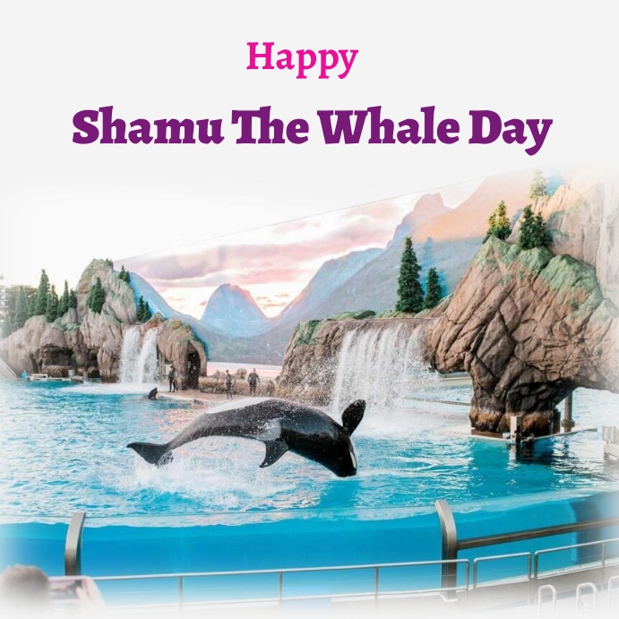Copy of shamu the whale day | PosterMyWall