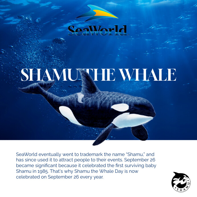 Copy of Shamu The Whale Day Instagram Post | PosterMyWall