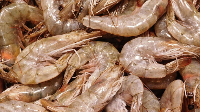 Shrimp texture Template | PosterMyWall