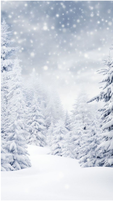 Silent snowfall forest Template | PosterMyWall