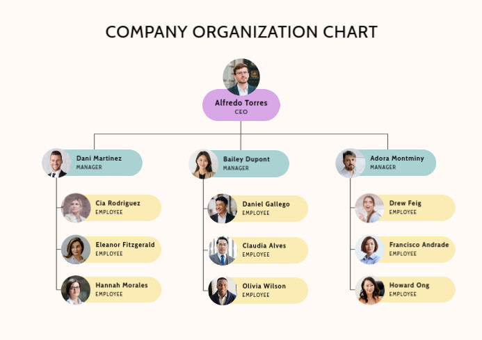 Copy of Simple Company Business Organizational Struct | PosterMyWall
