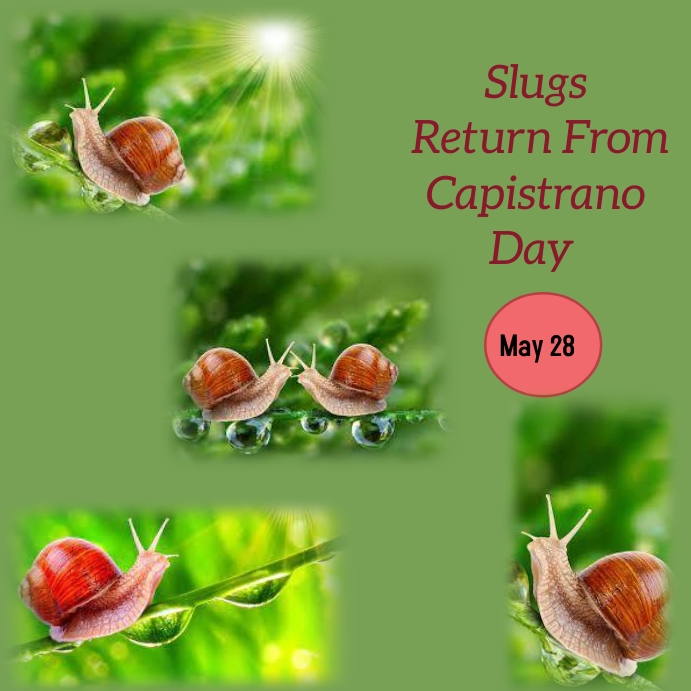 Slugs Return From Capistrano Day Template | PosterMyWall