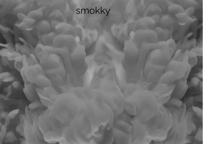 Copy of Smokey template | PosterMyWall