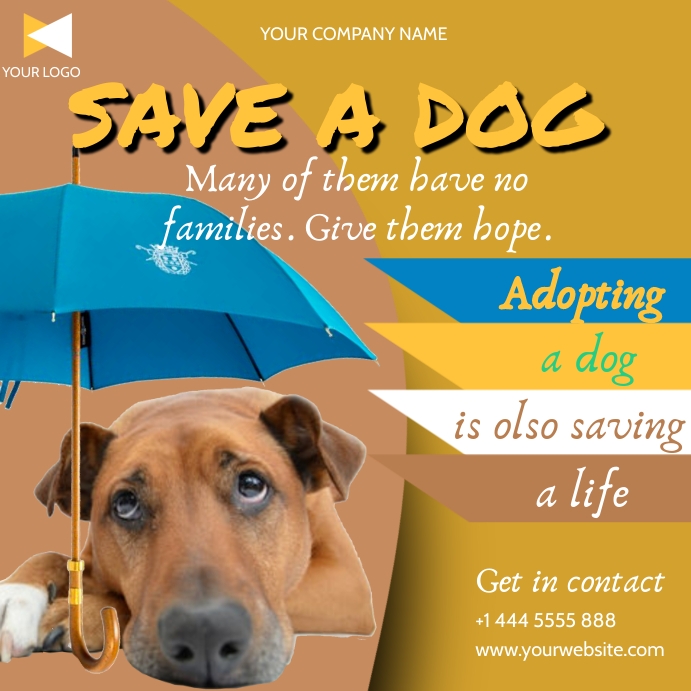 social issue flyer template เทมเพลต | PosterMyWall