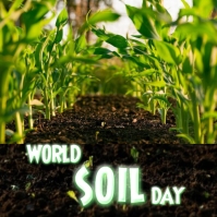 Soil Day Template | PosterMyWall
