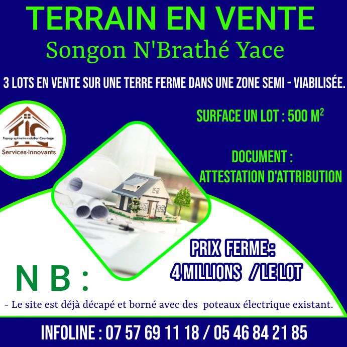 Copy of SONGON N'BRATHE YACE | PosterMyWall