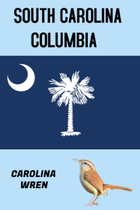 SOUTH CAROLINA STATE POSTER Template | PosterMyWall