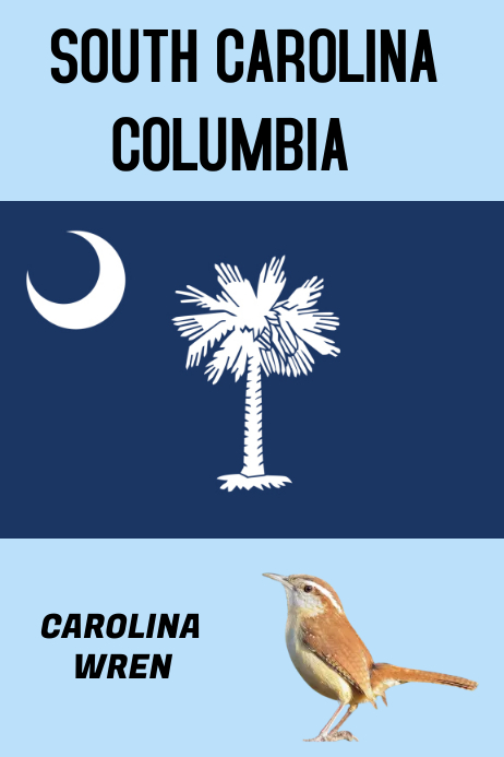 SOUTH CAROLINA STATE POSTER Template | PosterMyWall