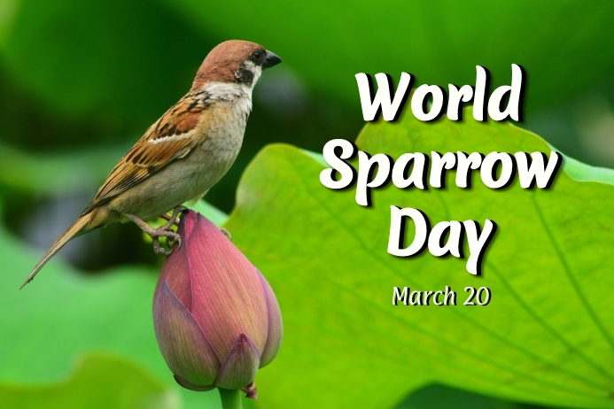 Sparrow day Template | PosterMyWall